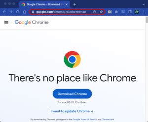 How To Use The Chrome Offline Installer