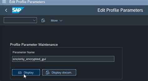 Guide To Gui Access To Sap Systems Without Vpn Sap Community
