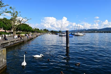 스위스 취리히 호수 Pixabay의 무료 사진 Pixabay