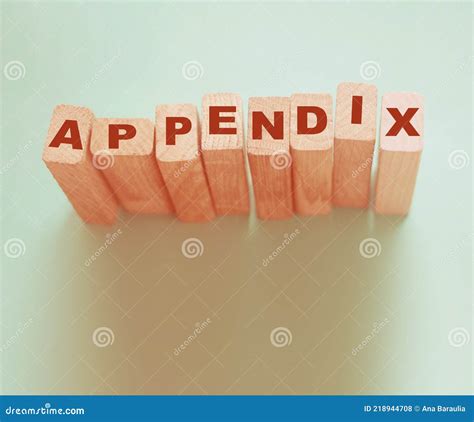 Appendix Word Written On Wood Block Appendix Text On Table Concept
