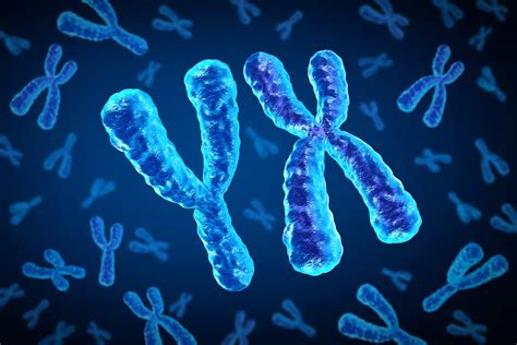 33 Facts About Homologous Structures