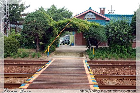 완행열차 타고~ 네이버 블로그