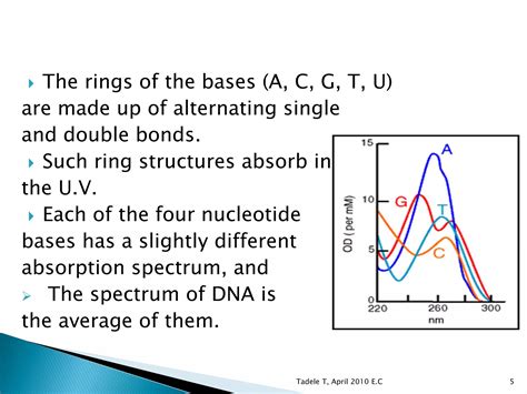 Dna Quantification Pdf