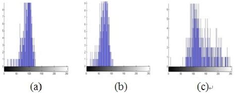 Figure 2 From An Adaptive Edge Enhancement Method Based On Histogram Matching For Ultrasound
