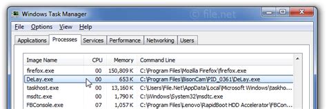 delay exe windows process what is it