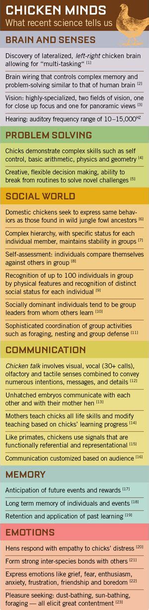 Best Keeping Chickens Images On Pinterest Chicken Roost Backyard Chickens And Chicken Coops