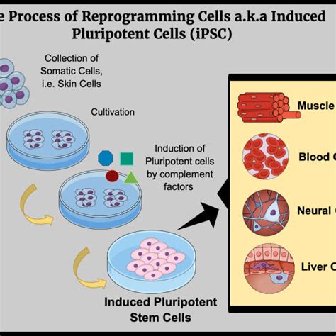 Hierarchy Of Artificial Intelligence Download Scientific Diagram