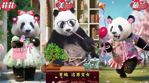 《花花小剧场》花花伙同萌兰么么儿薅爸爸的羊毛了😂😂 来这吸熊猫 大熊猫和花 萌兰么么儿 熊猫花花 大熊猫 Youtube