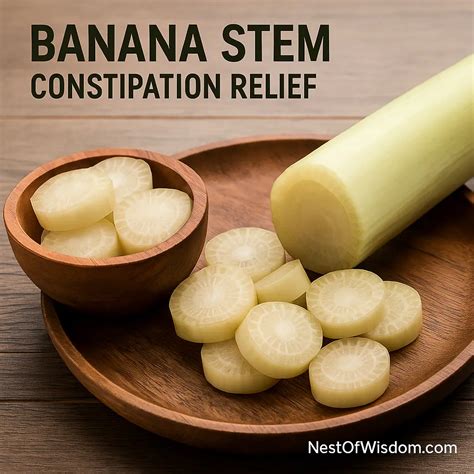 11 Powerful High Fiber Foods For Constipation Relief With Tamil Names