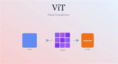 Exploring Deit A Review And Pytorch Guide To Data Efficient Image Transformers By Övül Arslan