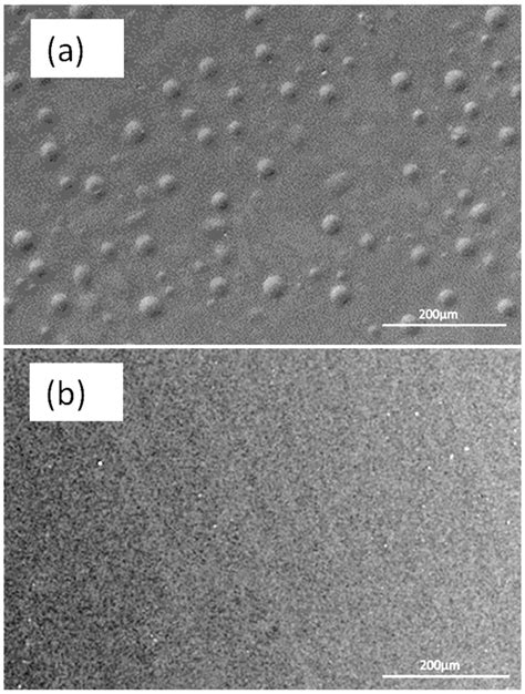 Surface Morphology Of A Control 1 Coating Modified With Siloxane Download Scientific Diagram