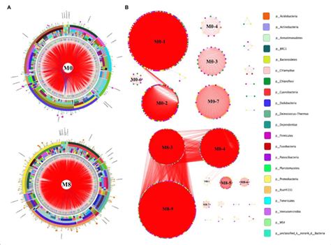 circos plots a showing the assignment of otus at different