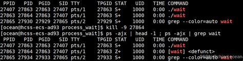Linux进程调度与等待：背后的机制与实现 Ew帮帮网