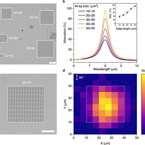 local absorption of the metamaterials with finite size effect a optical