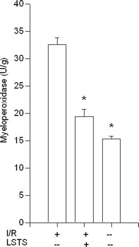 Hepatic Mpo Results Effects Of Ischemiareperfusion And Its