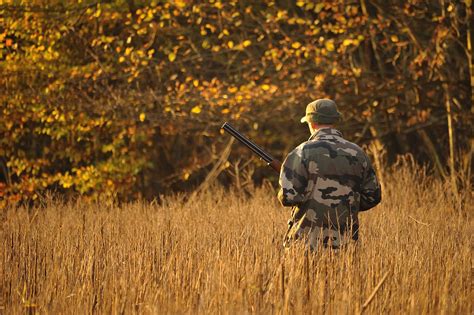 Les Modes De Chasse Fédération Départementale Des Chasseurs De Lisère