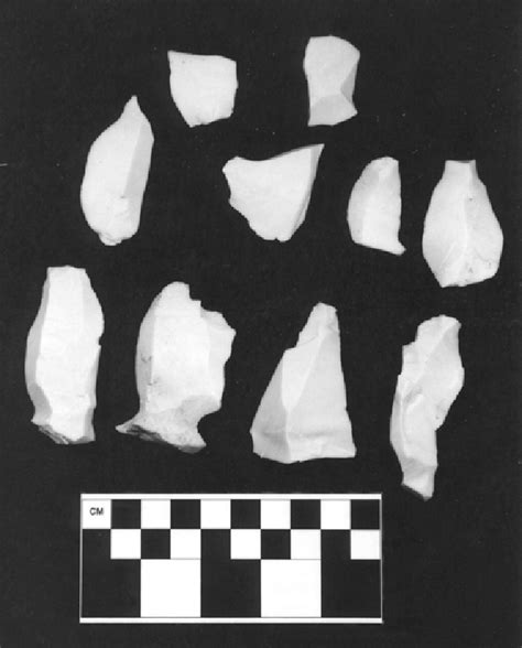 Primary Chert Flakes Before Use Download Scientific Diagram