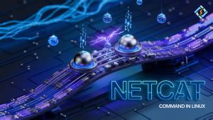 Netcat Command In Linux A Complete Guide With Examples