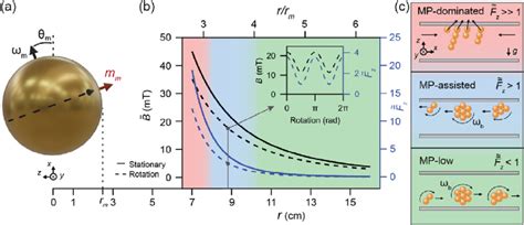 Magnetic Field Near A Spherical Permanent Magnet A A Spherical