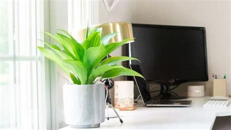 How To Hide The Back Of A Computer Monitor Easy Ways Monitors Hype