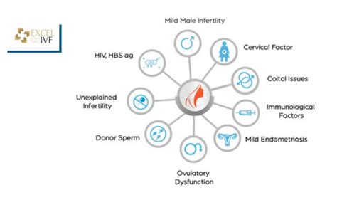 What S The Difference Between IUI And IVF