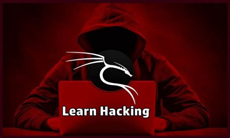 top 5 best ethical hacking courses for programmers