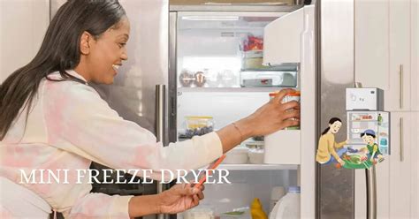 Mini Freeze Dryer Your Ultimate Guide • Asita Freeze Dryer