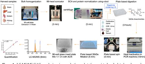 Figure 1 From High Throughput Liquid Chromatography Tandem Mass Spectrometry Quantification Of