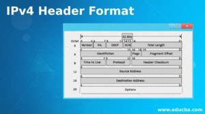 IPv Header Format Learn Components Of IPv Header Format