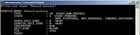 Install Hashicorp Consul Agent On Windows Server By İlham Bayramov