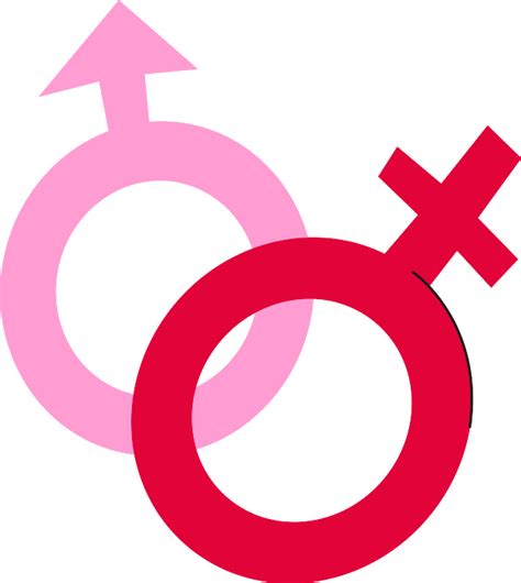 Секспросвет для взрослых