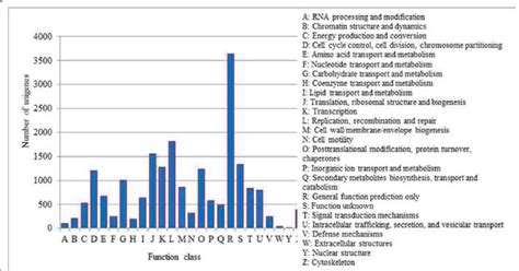 Cog Functional Classification Of Unigenes From Cadra Cautella Female