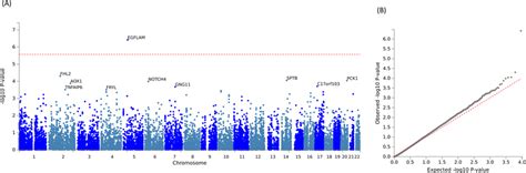 gene based analyses results for csp a gene manhattan plot b gene qq