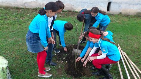 ტყე შეუნახე შვილებსა მამა ხარ შენი ვალია ფოტოგალერეა