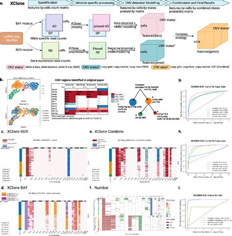 Figure 1 From Robust Analysis Of Allele Specific Copy Number Variations