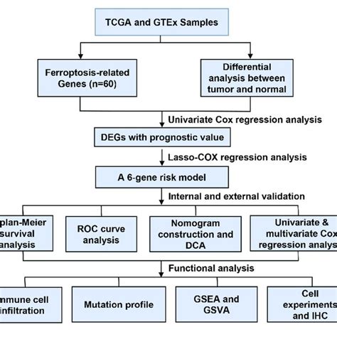 Data Processing Flow Chart Download Scientific Diagram
