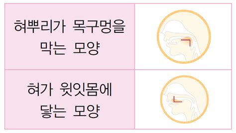 4학년 1학기 국어 9단원 자랑스러운 한글 홈런 초등