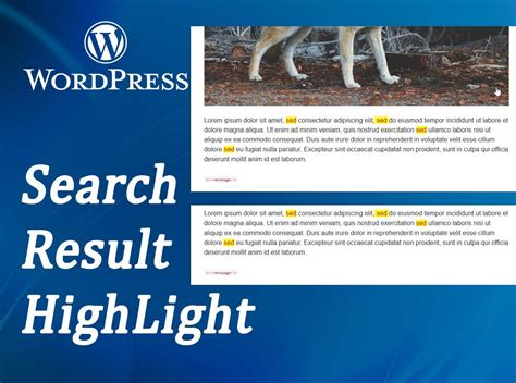 How To Highlight Search Results In WordPress SkyBootstrap