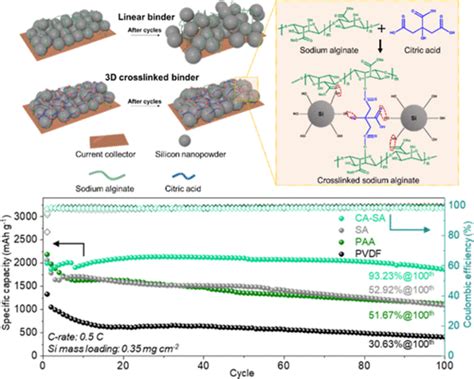 Design Of A Bioinspired Robust Three Dimensional Cross Linked Polymer