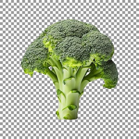 투명 한 배경에 고립 된 신선한 녹색 Calabrese 브로콜리 프리미엄 Psd 파일