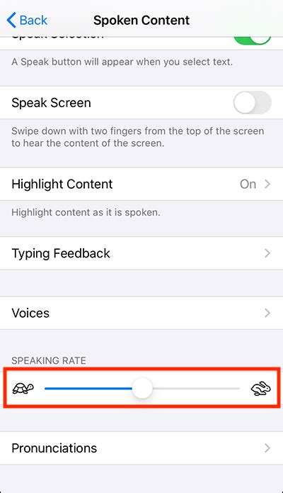 How To Enable Your Device To Read Aloud Text You Have Selected In Ios 14 For Iphone Ipad And