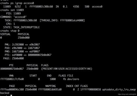 解决linux内核问题实用技巧之 dev mem的新玩法 csdn博客