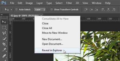 Reveal In Explorer Reveal In Finder