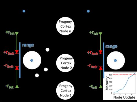 Nodes Of The Cortical Coding Tree A Cortex Node May Have Progeny