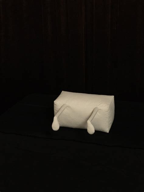 The Euclideans Cuboid 2022 Wenjüe Lu