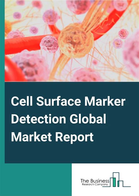 Global Cell Surface Marker Detection Market Size And Trends By 2034
