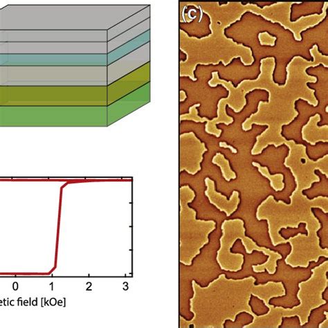 Schematic Experimental Two Beam Interference Setup A With The Download Scientific Diagram