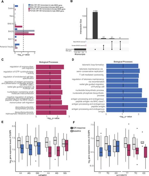Sex Differences In The Genetic Regulation Of The Blood Transcriptome Sex Differences In The Genetic Regulation Of The Blood Transcriptome