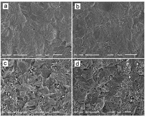 Advanced Polymeric Composites Processing Characterization And