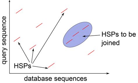Chapter 3 Sequence Alignments Applied Bioinformatics